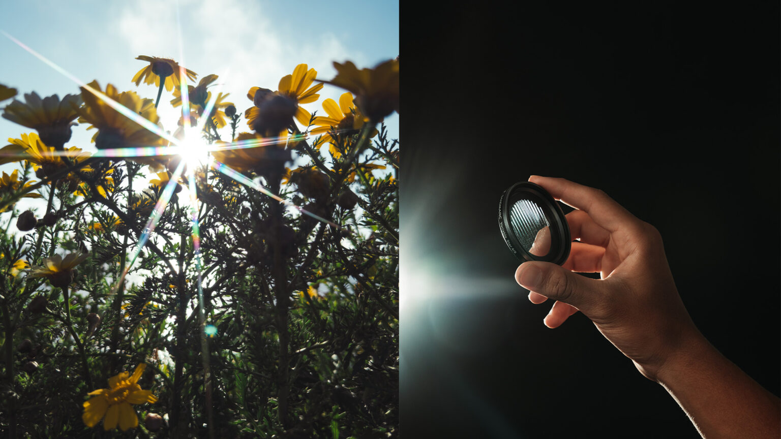 SANDMARC Star Filter for iPhone and Smartphone Introduced | CineD